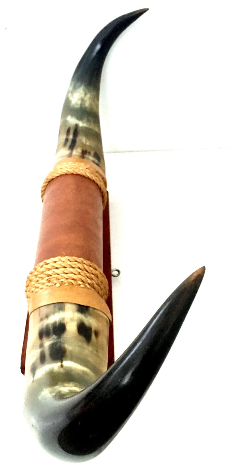 20th Century Pair of Mounted Texas Long Horns at 1stDibs