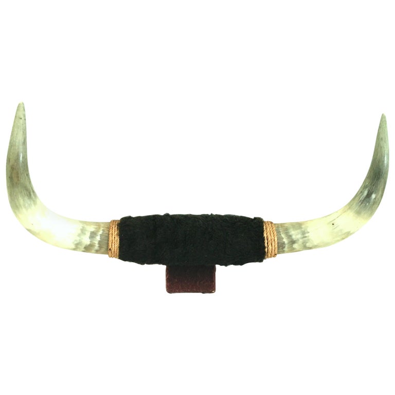 20th Century Pair of Mounted Texas Long Horn's For Sale at 1stDibs