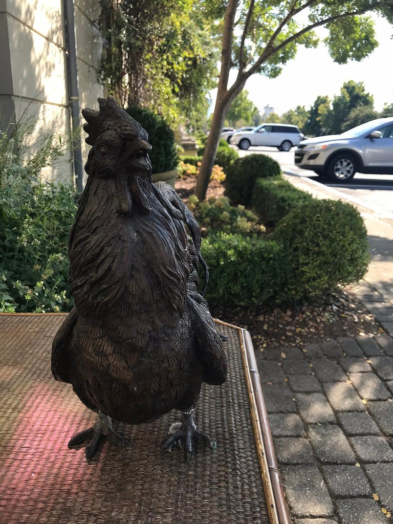 20th Century Patinated Bronze Gamecock / Chicken at 1stDibs