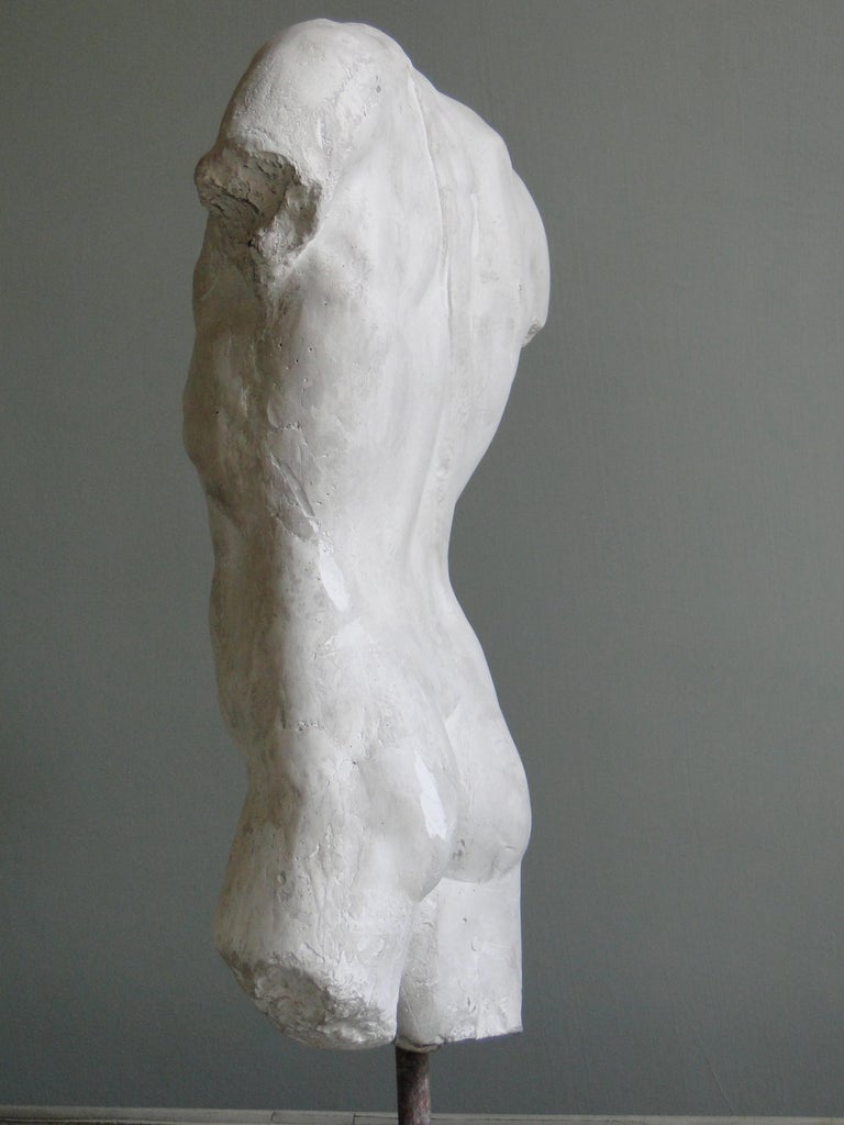 20th Century Plaster Torso at 1stDibs