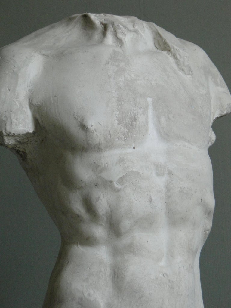 20th Century Plaster Torso at 1stDibs