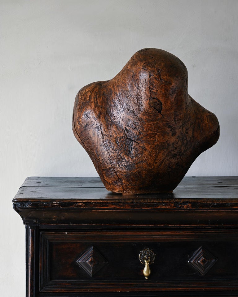 20th Century Wooden Organic Bust For Sale at 1stDibs