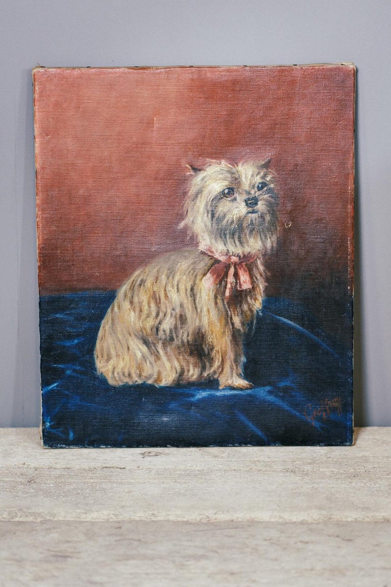 20th Century Yorkshire Terrier Portrait Oil Painting on Canvas at ...