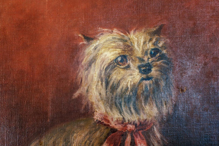 20th Century Yorkshire Terrier Portrait Oil Painting on Canvas at ...