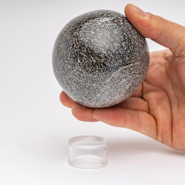 210 Million Y/O Fossil Sauropods Sphere For Sale at 1stDibs