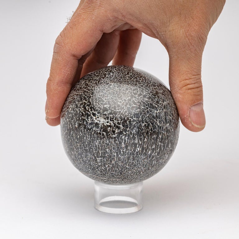 210 Million Y/O Fossil Sauropods Sphere For Sale at 1stDibs