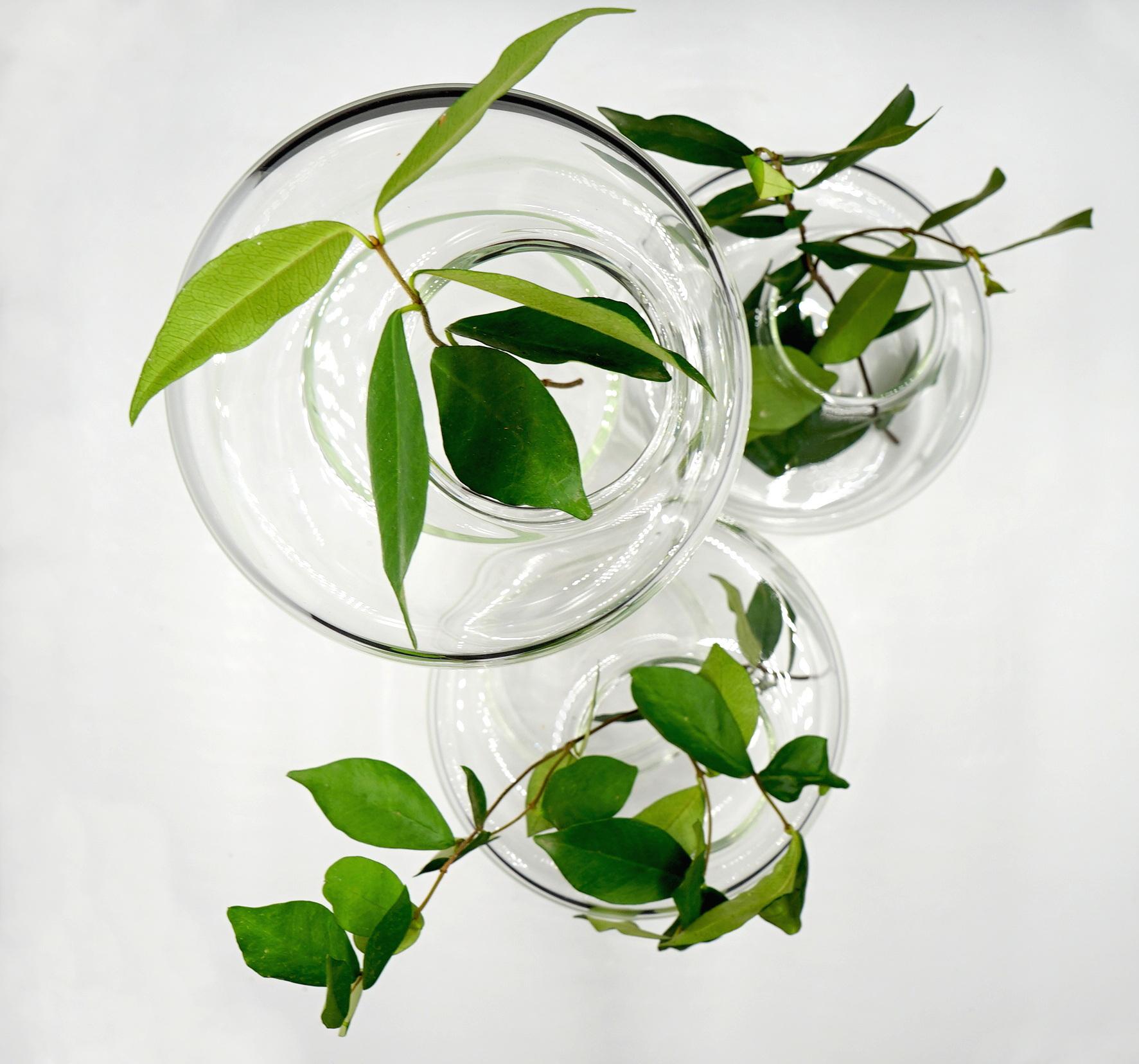 21st Century Asymetric 3 Vases Set, Hand-Crafted Borosilicate Vases ...