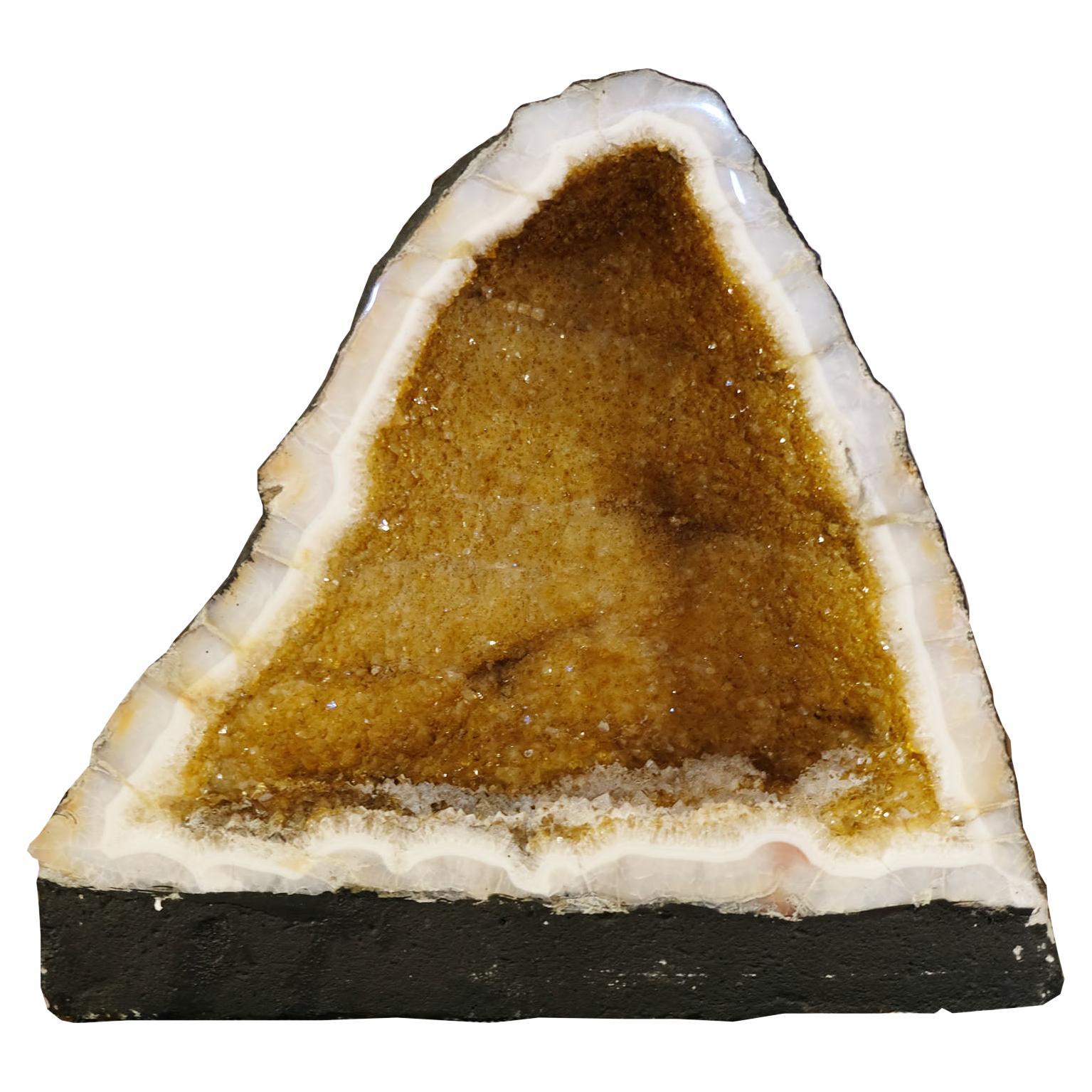 21st Century American Elm Hand Carved Wall Sculpture Texas Based Artist ...