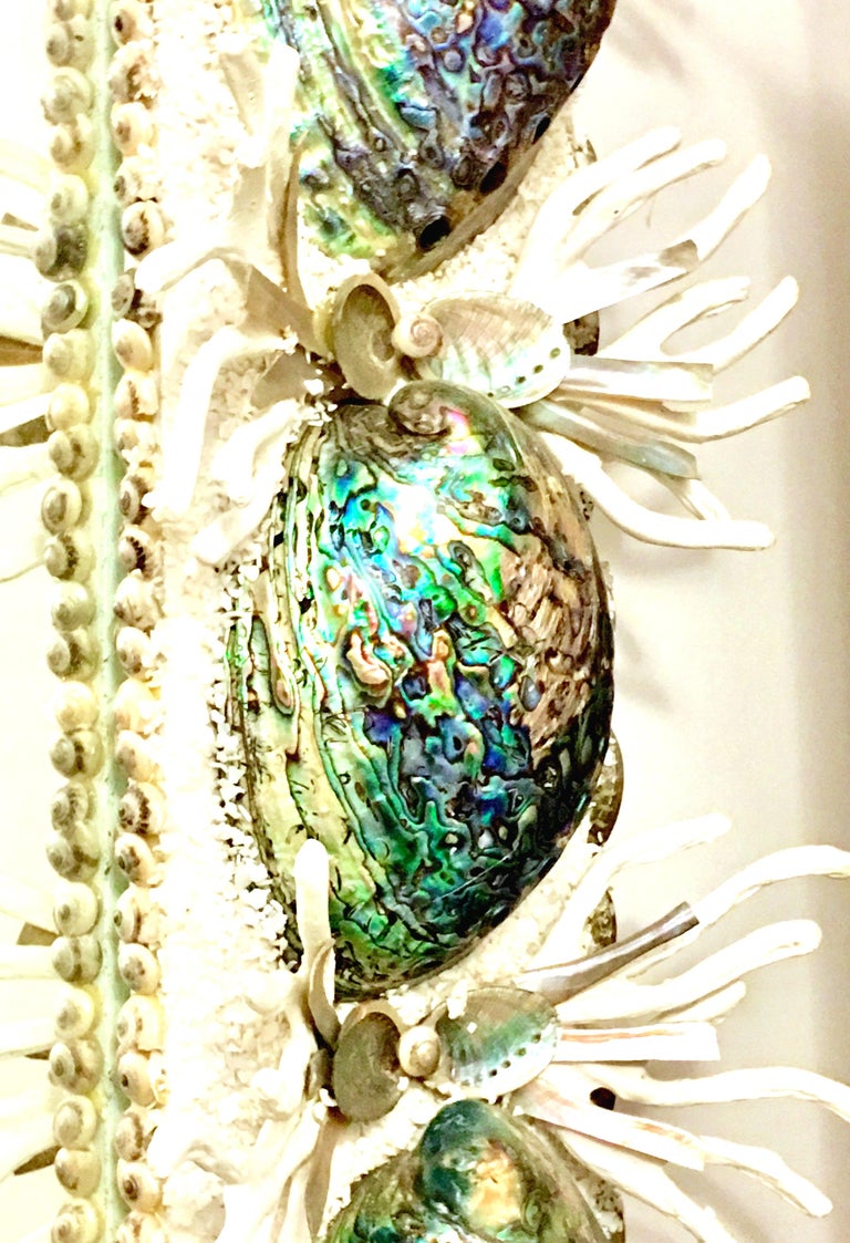 21st Century Contemporary Monumental Abalone Shell and Spider Coral ...