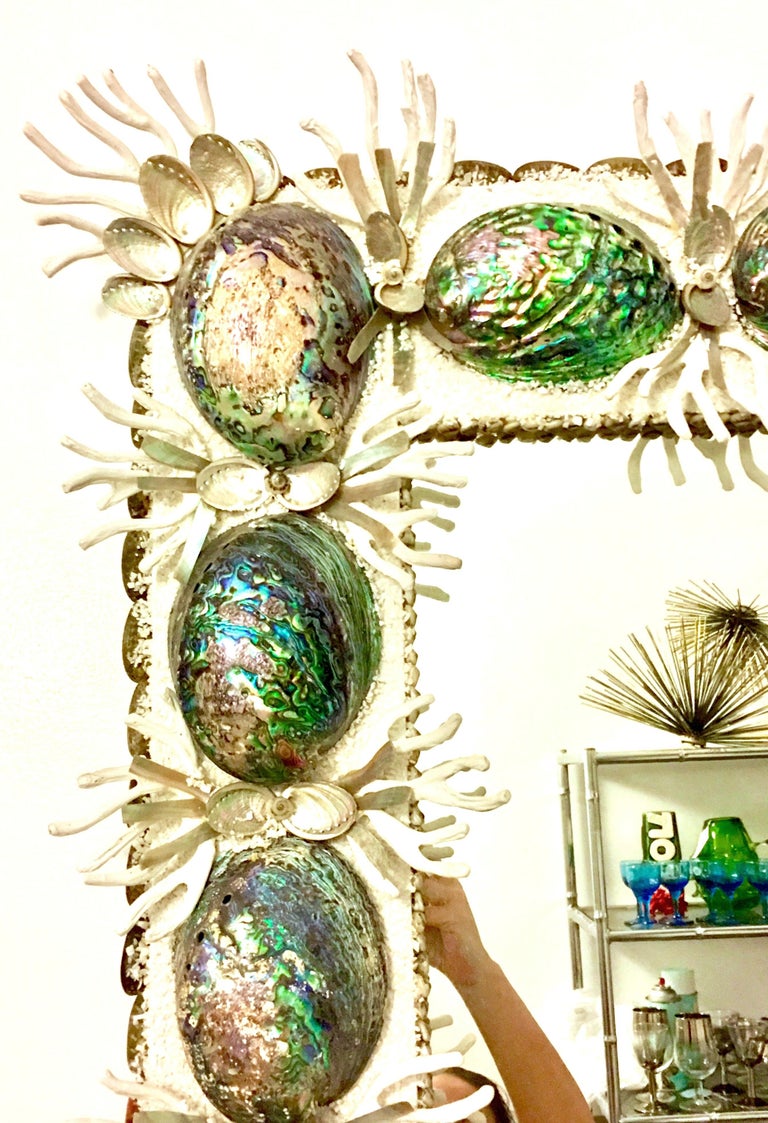 21st Century Contemporary Monumental Abalone Shell and Spider Coral ...