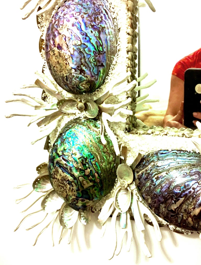 21st Century Contemporary Monumental Abalone Shell and Spider Coral ...