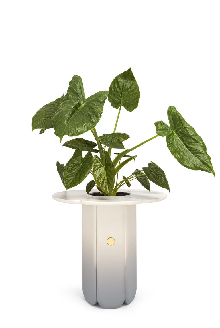 21st Century Matteo Cibic Yellow Vase Table Matt Lacquered MDF Scapin ...