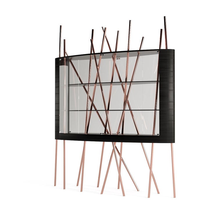 Large Vitrine Display Case in Black Oak Wood, Black Lacquer and Brushed ...