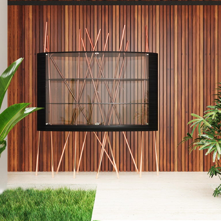 Large Vitrine Display Case in Black Oak Wood, Black Lacquer and Brushed ...