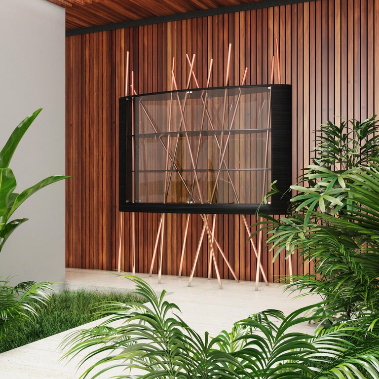 Large Vitrine Display Case in Black Oak Wood, Black Lacquer and Brushed ...