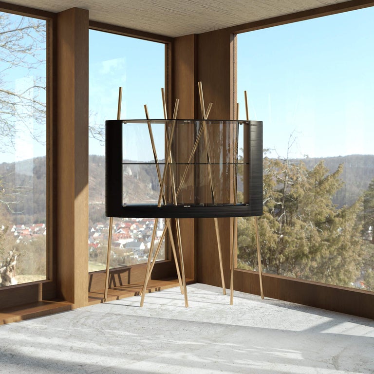 Large Vitrine Display Case in Black Oak Wood, Black Lacquer and Brushed ...