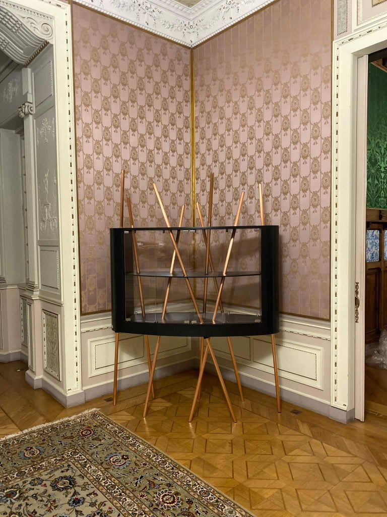 Large Vitrine Display Case in Black Oak Wood, Black Lacquer and Brushed ...