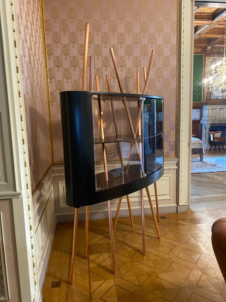 Large Vitrine Display Case in Black Oak Wood, Black Lacquer and Brushed ...