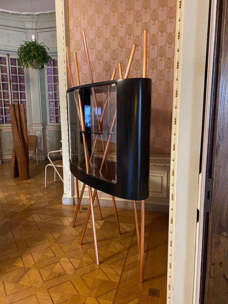 Large Vitrine Display Case in Black Oak Wood, Black Lacquer and Brushed ...