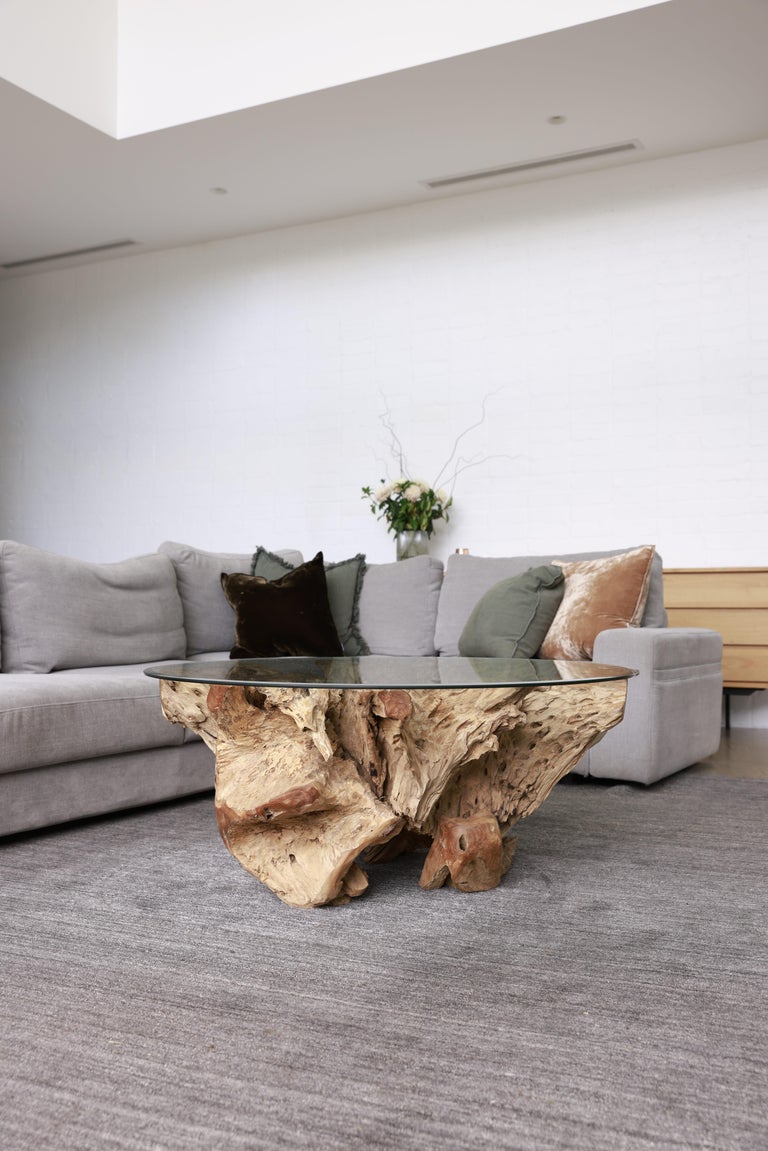 21st Century Teak Tree Root Coffee Table with Bevelled Glass For Sale ...