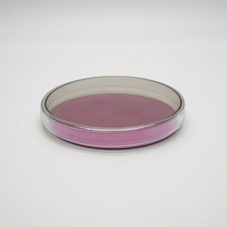 21th Century Borosilicate Glass Box Set Handpainted, Four Moons by Kanz ...