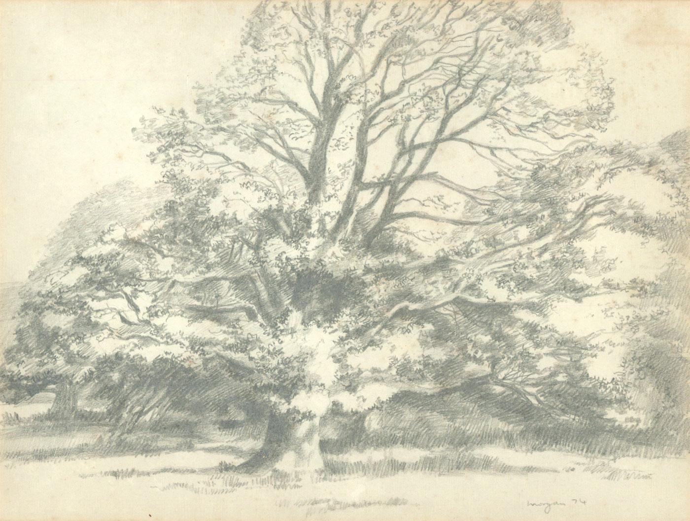 Glyn Morgan - Glyn Morgan (1926-2015) - Dibujo en grafito firmado de ...