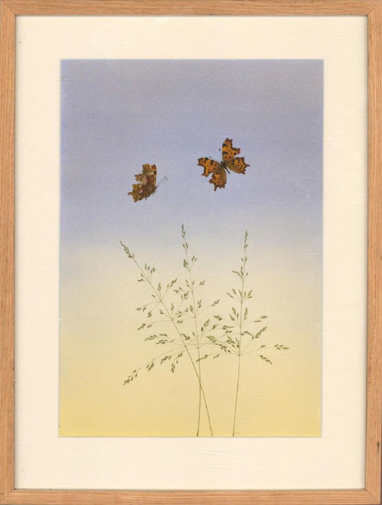 Kate Weaver - Kate Weaver - 1987 Watercolour, Comma Butterflies and ...
