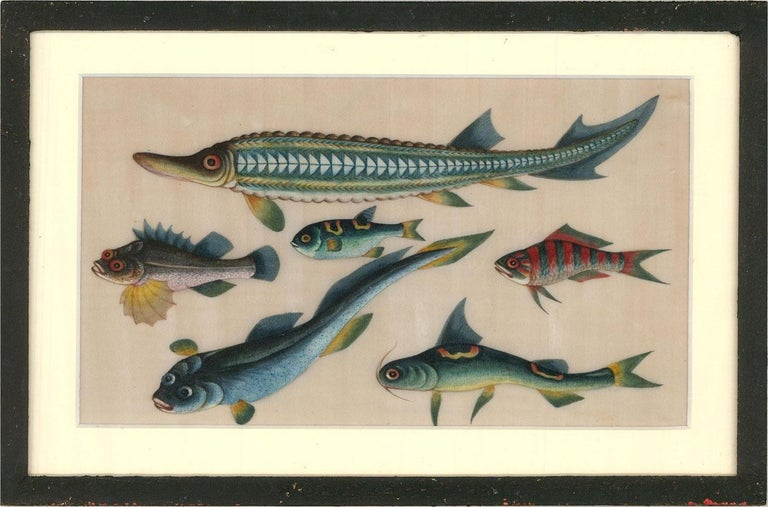 Unknown - Late 19th Century Gouache - Chinese Fish For Sale at 1stDibs