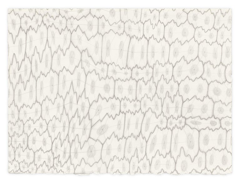 Alexander Ross - Fuzzy Fish For Sale at 1stDibs