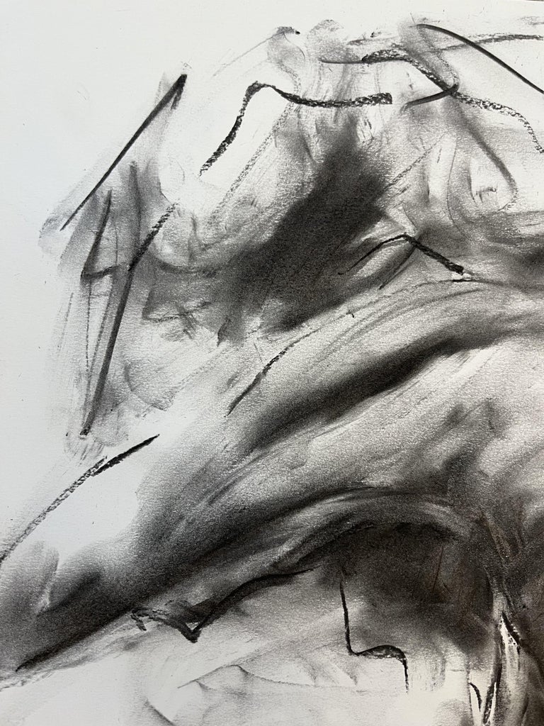 James Shipton - Undone, Drawing, Charcoal on Paper For Sale at 1stDibs