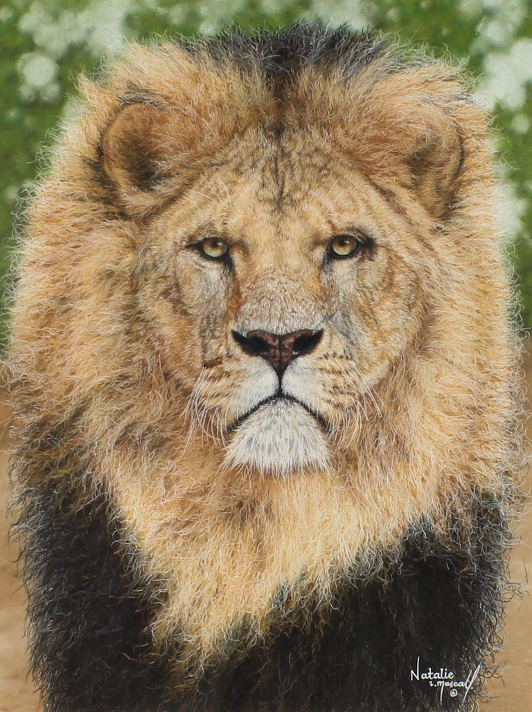 Natalie Mascall - Natalie Mascall - 2008 Pastel, African Monarch For ...