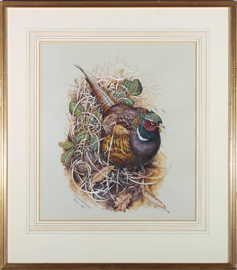 Richard Whittlestone - Richard Whittlestone - 1987 Gouache, A Pheasant ...