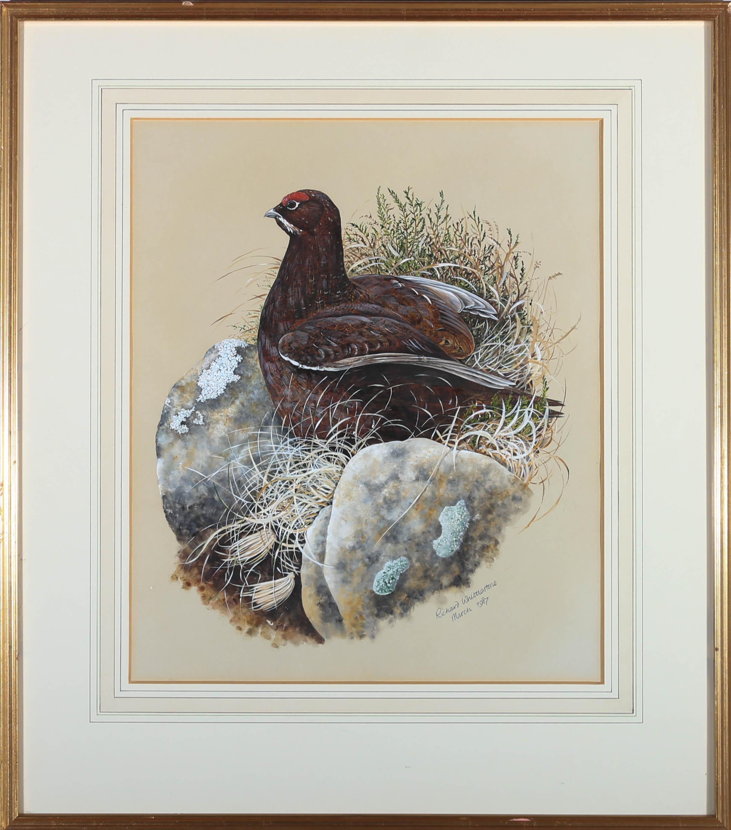 Jean Elliot - Jean Elliot - Signed and Framed 20th Century English ...