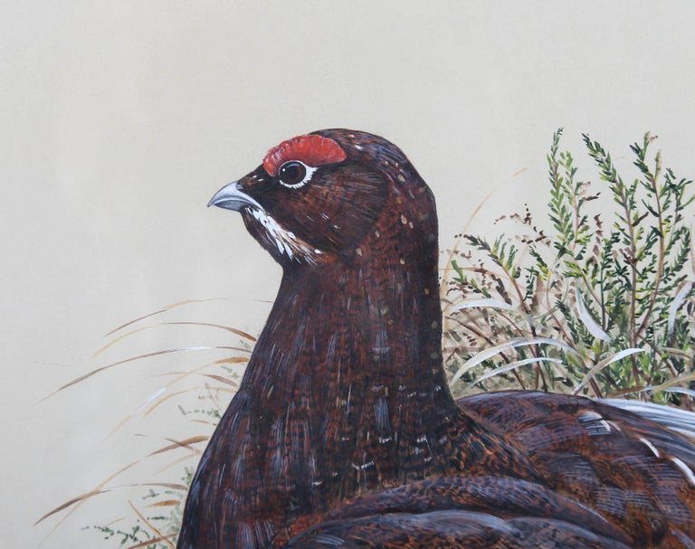 Richard Whittlestone - Richard Whittlestone - 1987 Gouache, A Grouse ...