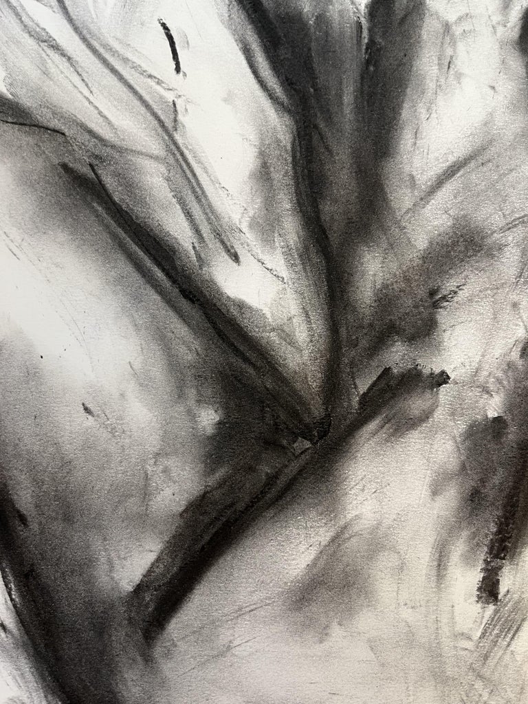 James Shipton - Beware, Drawing, Charcoal on Paper For Sale at 1stDibs