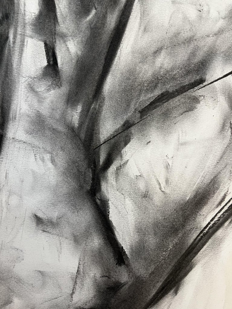 James Shipton - Beware, Drawing, Charcoal on Paper For Sale at 1stDibs