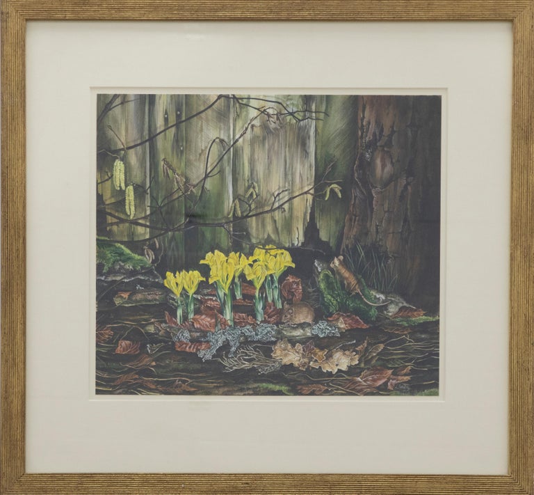 Lesley Fotherby - Lesley Fotherby (b.1946) - 20th Century Watercolour ...
