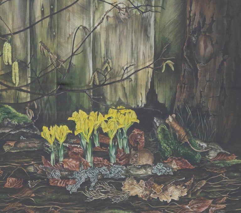 Lesley Fotherby - Lesley Fotherby (b.1946) - 20th Century Watercolour ...