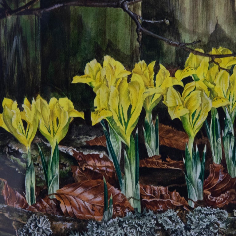 Lesley Fotherby - Lesley Fotherby (b.1946) - 20th Century Watercolour ...