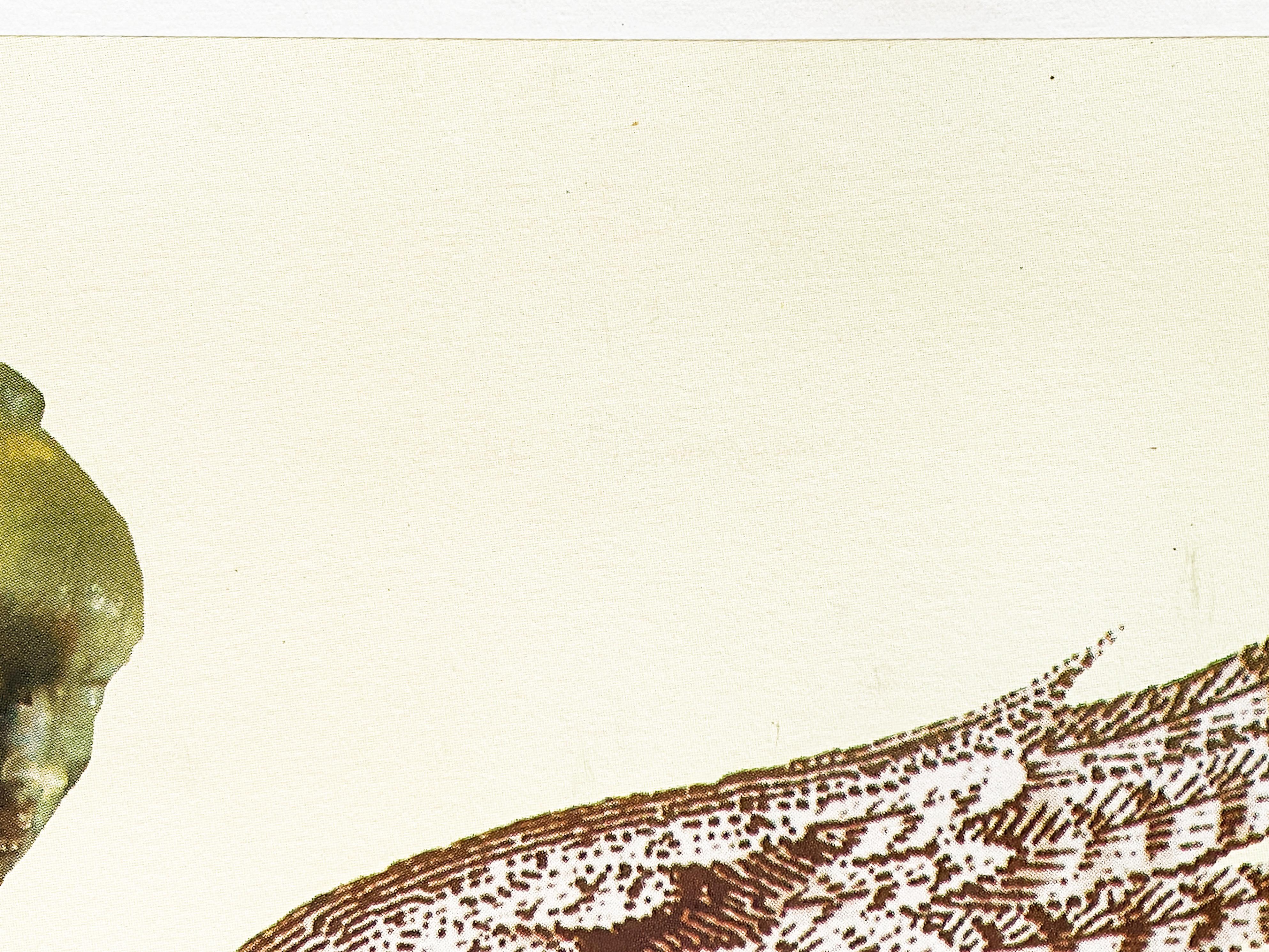 Unknown - Nirvana 'In Utero' Original UK Bus Stop Promotional Poster ...