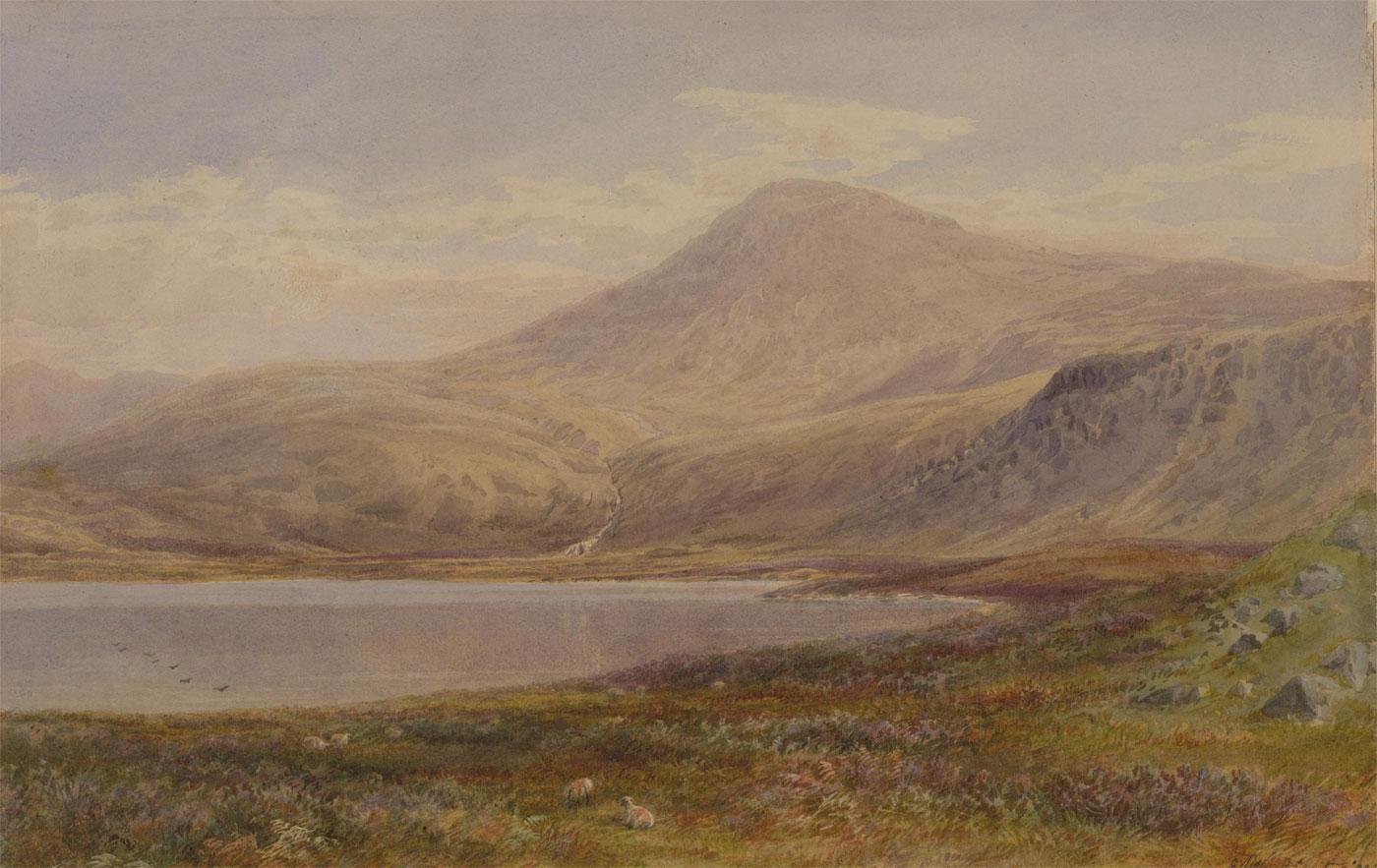 Unknown - E.A. Warrington - 1890 Watercolour, Sheep Grazing by a Loch ...