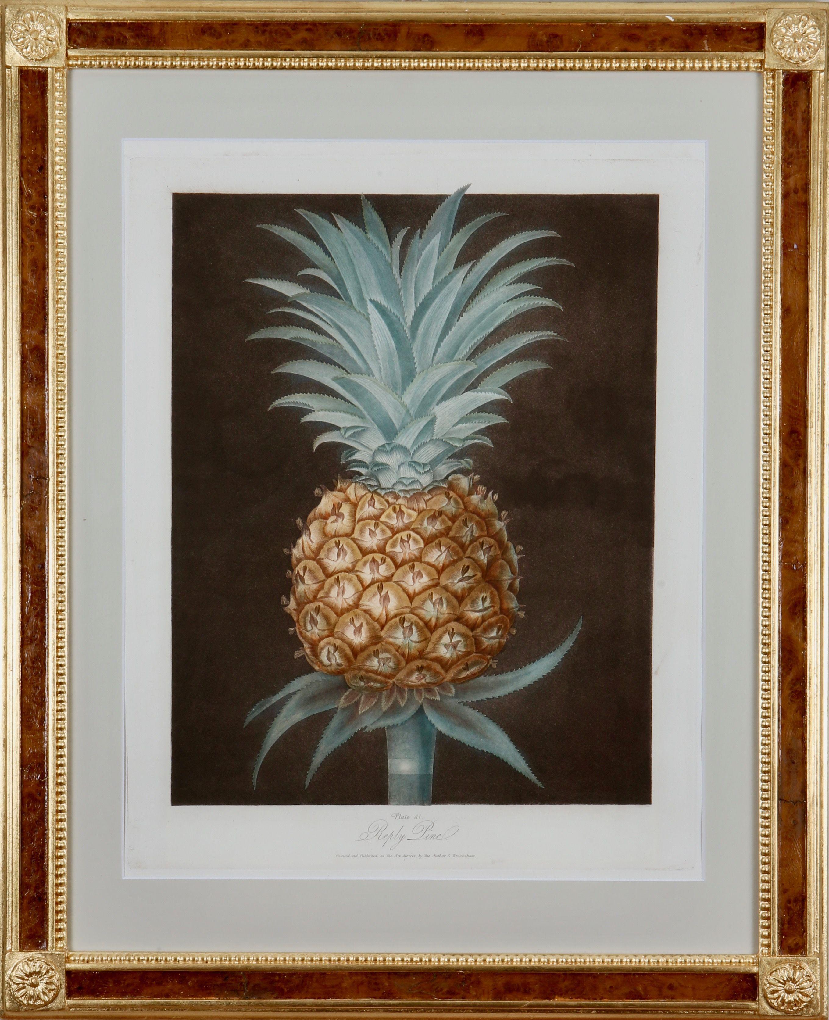 George Brookshaw - Plate 91. Apples. For Sale at 1stDibs