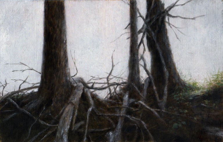 Lisa Lebofsky - Hemlock Trees at Sunset For Sale at 1stDibs