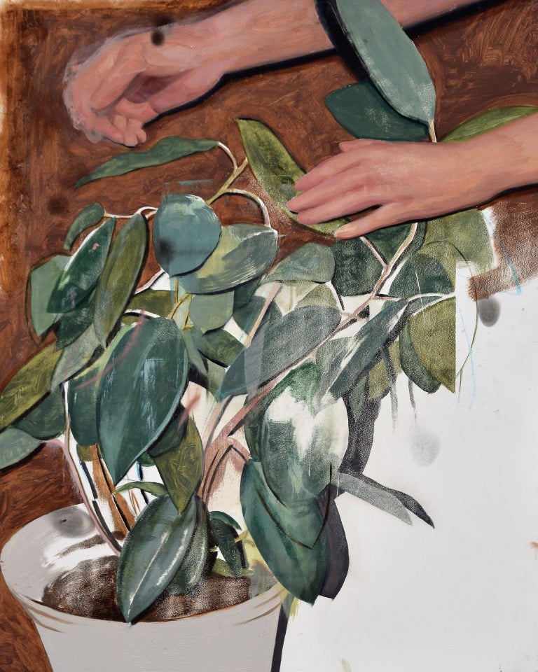 Daniel Segrove - Rubber Plant For Sale at 1stDibs