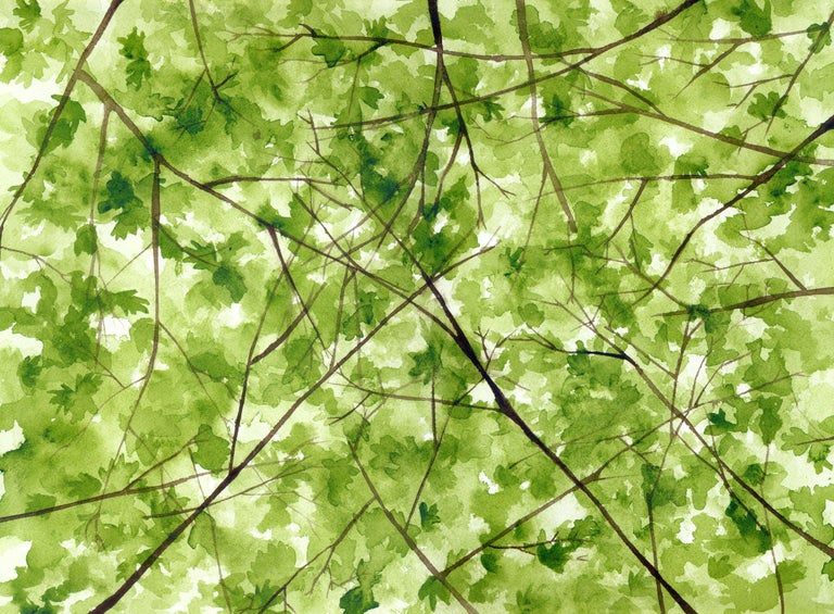 Sharon Levy - Canopy Drawing For Sale at 1stDibs