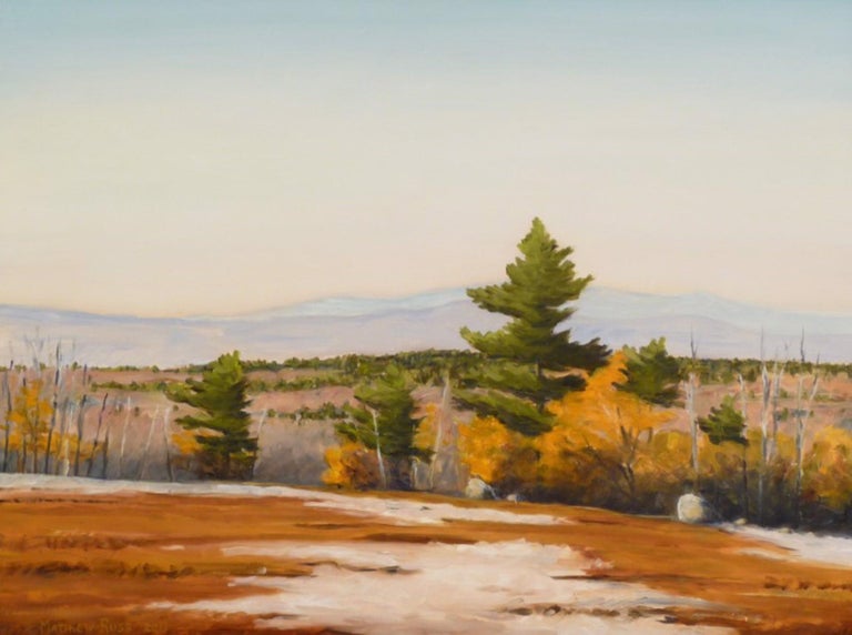 Matthew Russ - View From Vienna Mountain #1 For Sale at 1stDibs