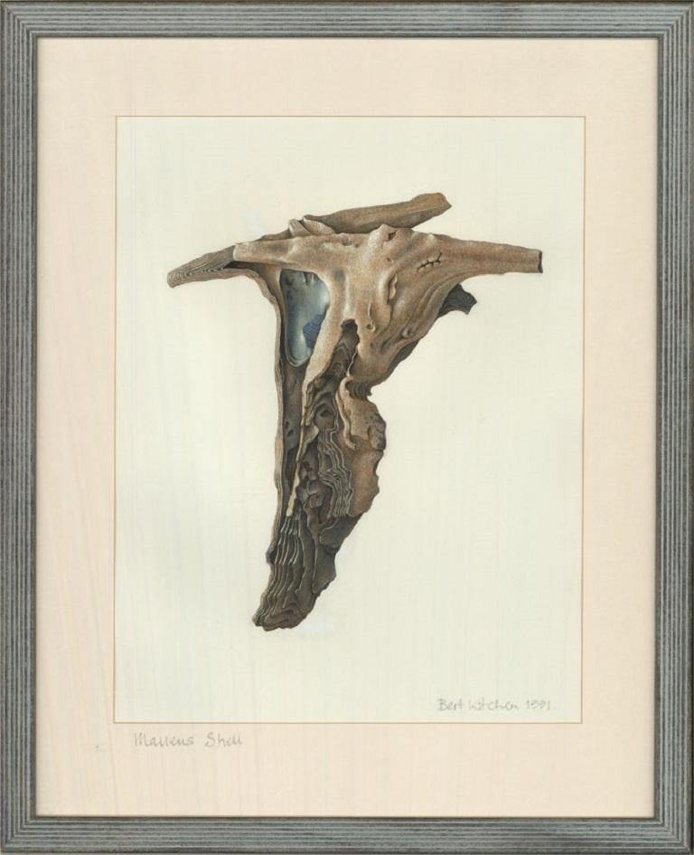 Bert Kitchen - Bert Kitchen (b.1940) - 1991 Watercolour, Mallens Shell ...