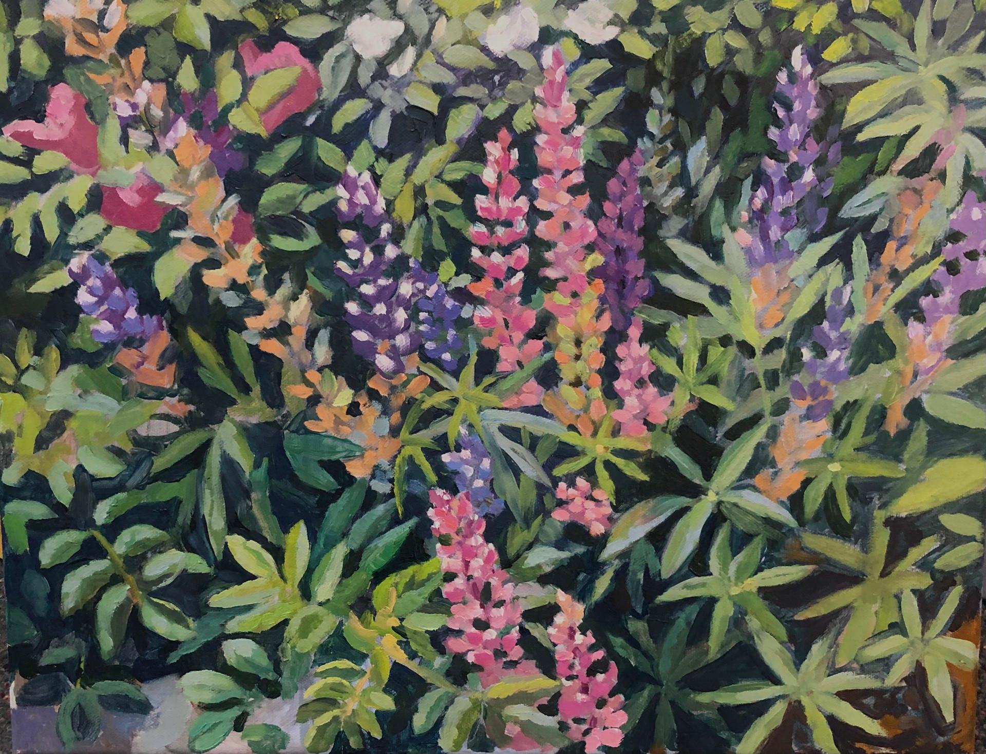 Holly L. Smith - Lupine Season in Maine For Sale at 1stDibs | holly ...
