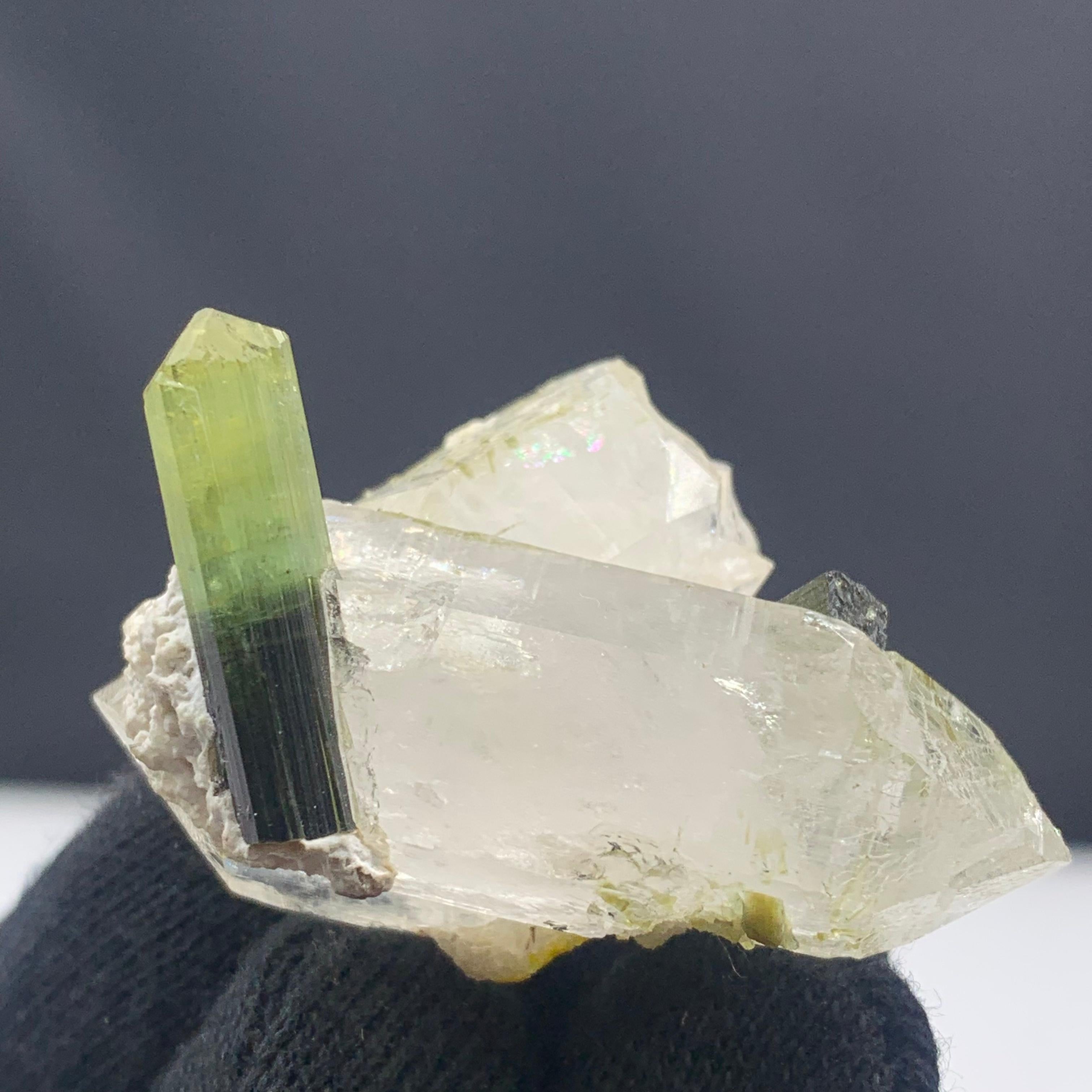24 Gram Gorgeous Bi Color Tourmaline On Quartz From Stak Nala Gilgit, Pakistan For Sale at 1stDibs