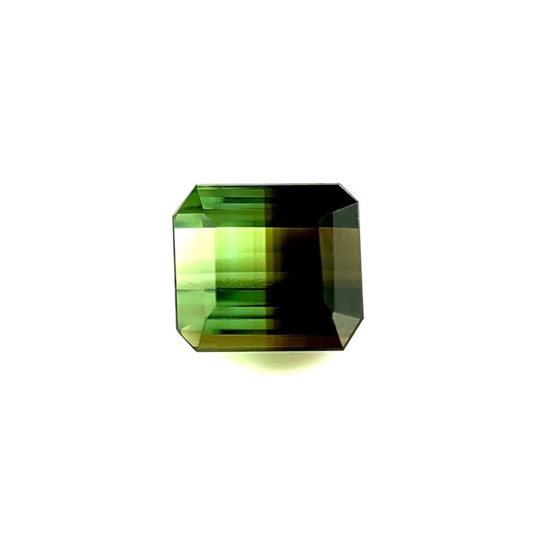 2.41ct Green Bi Colour Tourmaline Fancy Octagonal Cut Rare Gem VS For ...